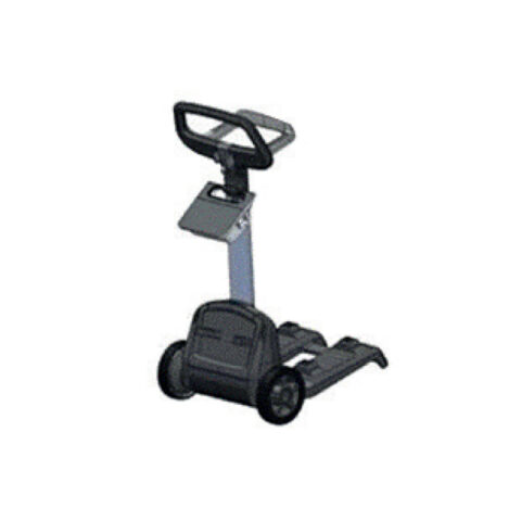 robot-pulitore-piscina-dolphin-wolly